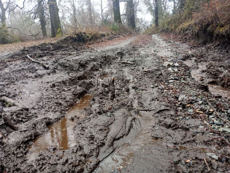 El camino a la cascada Chachín intransitable: así está el de Queñi y ...